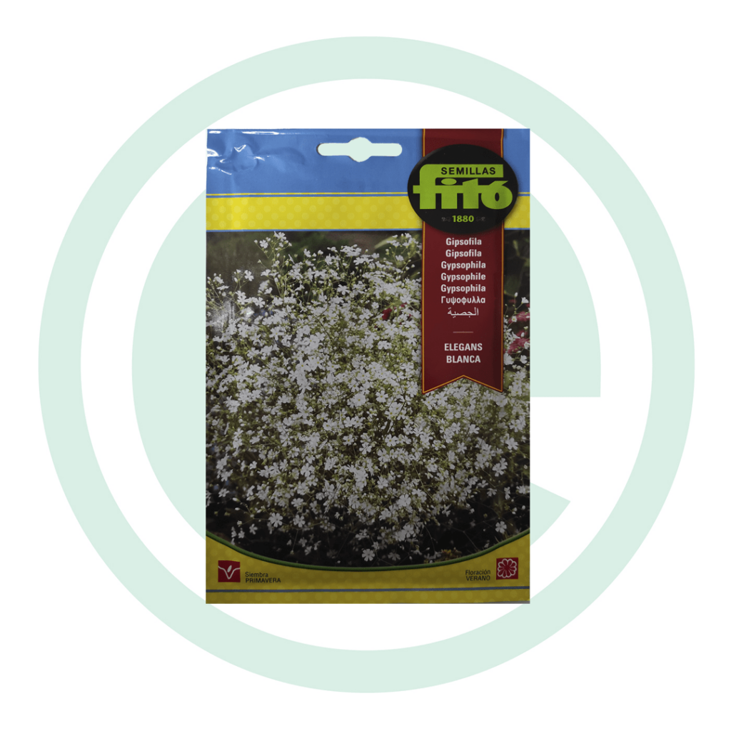 Sementes gipsofila branca elegante – Europlantas